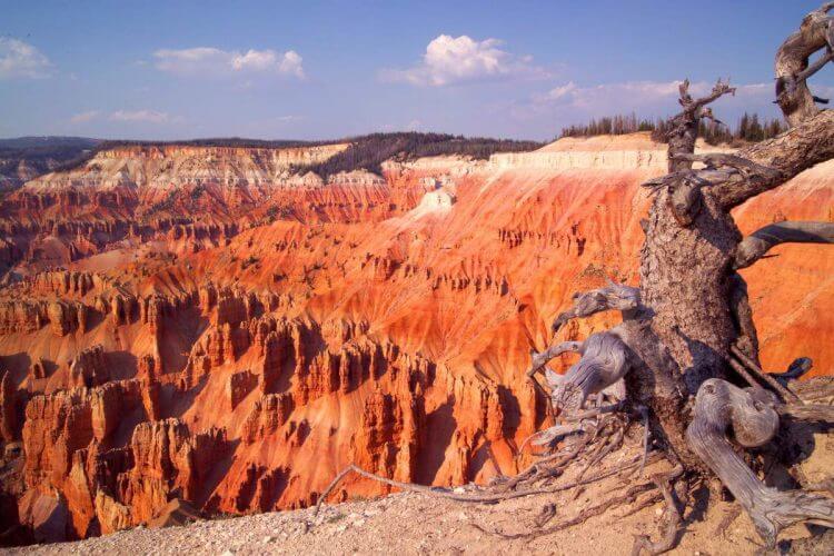 Best Things to do in Cedar City Utah - Kids Are A Trip