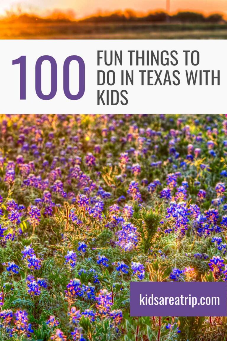 100 Fun Things to Do in Texas with Kids - Kids Are A Trip