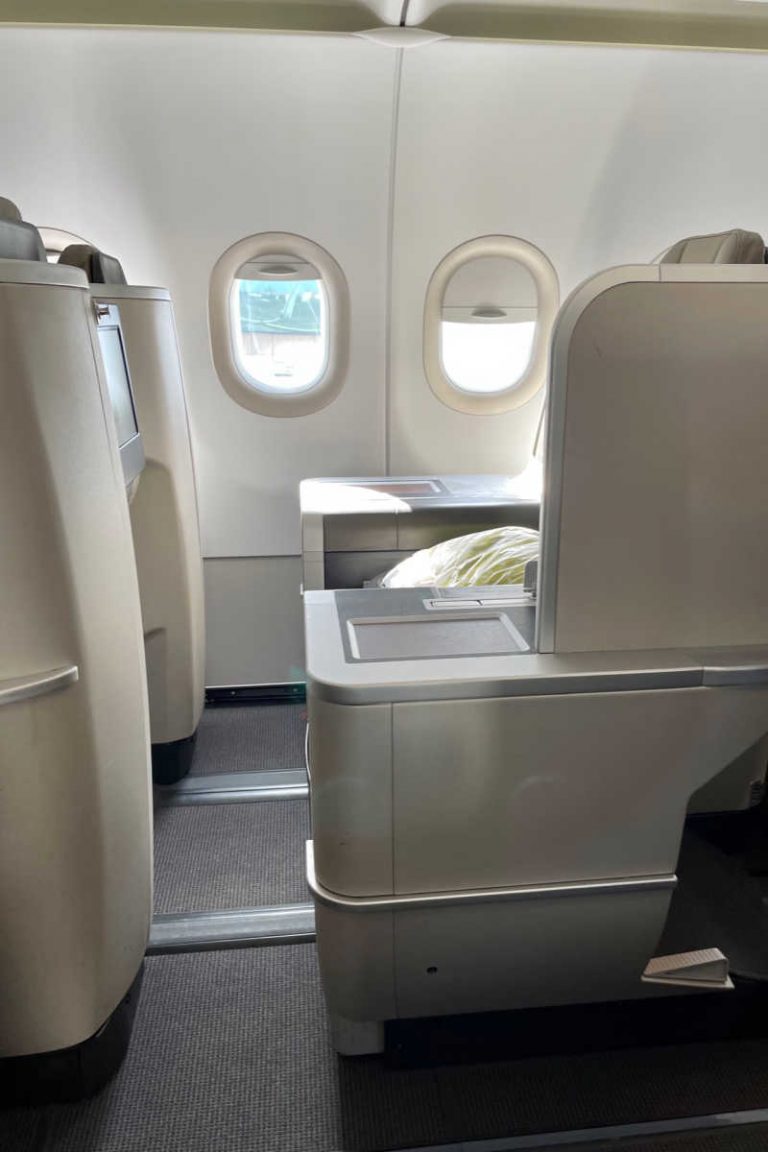 TAP Air Portugal Review - Long Haul Flight to Europe - Kids Are A Trip
